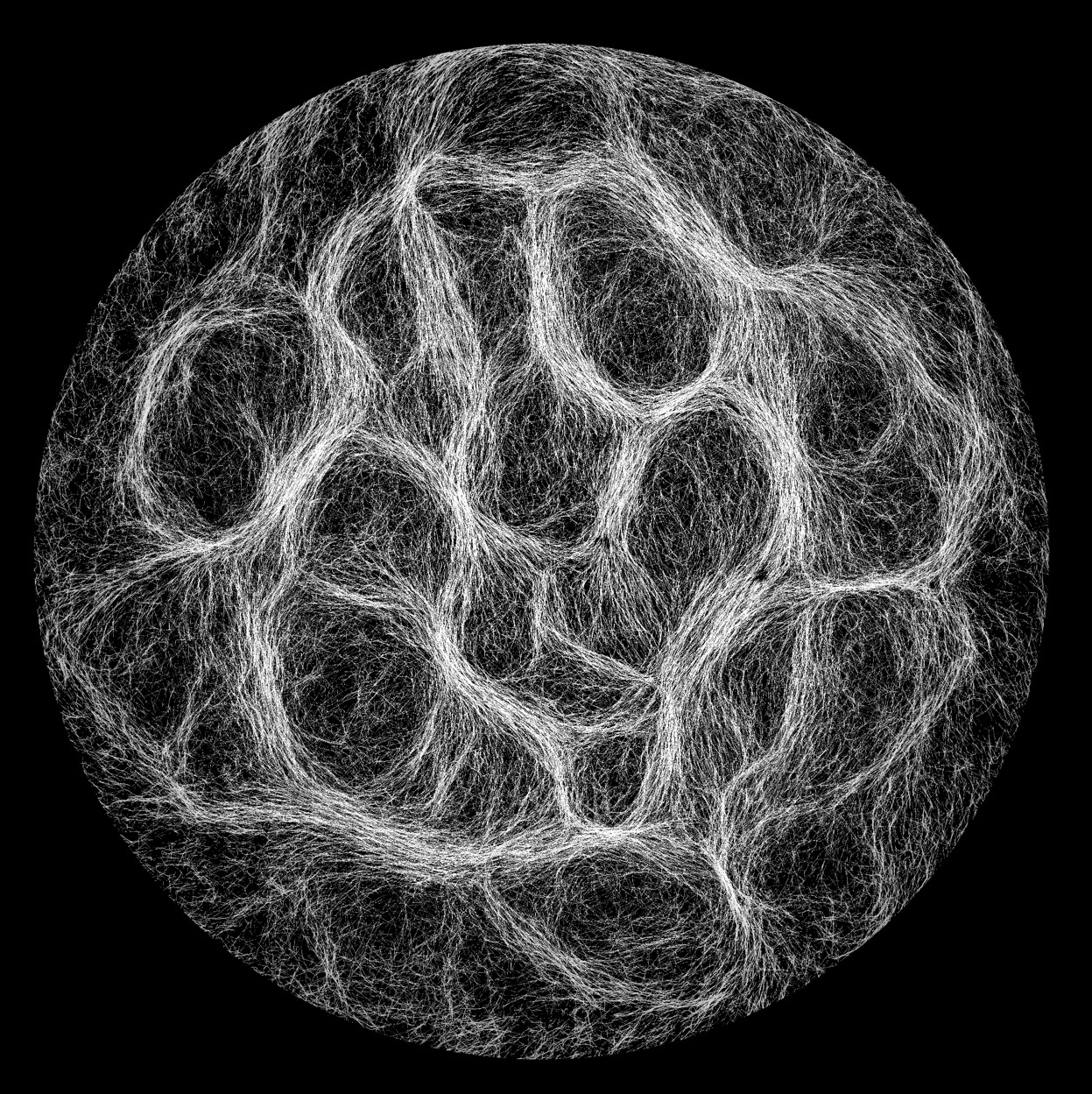 Scientists explain unique formation of ancient algae that evolved ...
