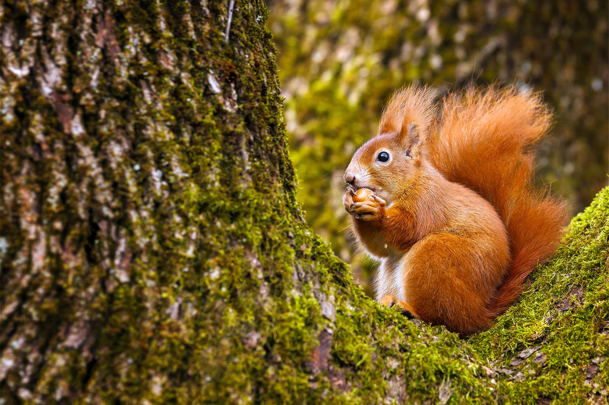 Conservation and Ecology | Nottingham Trent University
