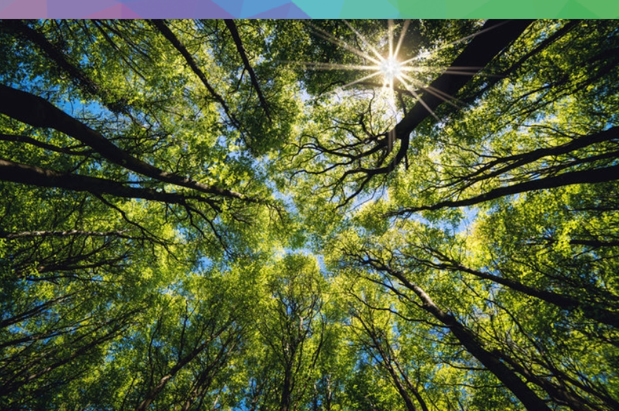 HealthyNTU Nature Walk - Brackenhurst | Nottingham Trent University