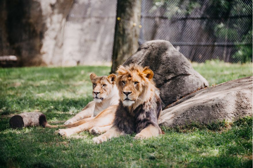Work-Like Experience — Zoos | Nottingham Trent University